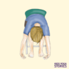 40 Kid-Friendly Chair Yoga Poses | Kids Yoga Stories