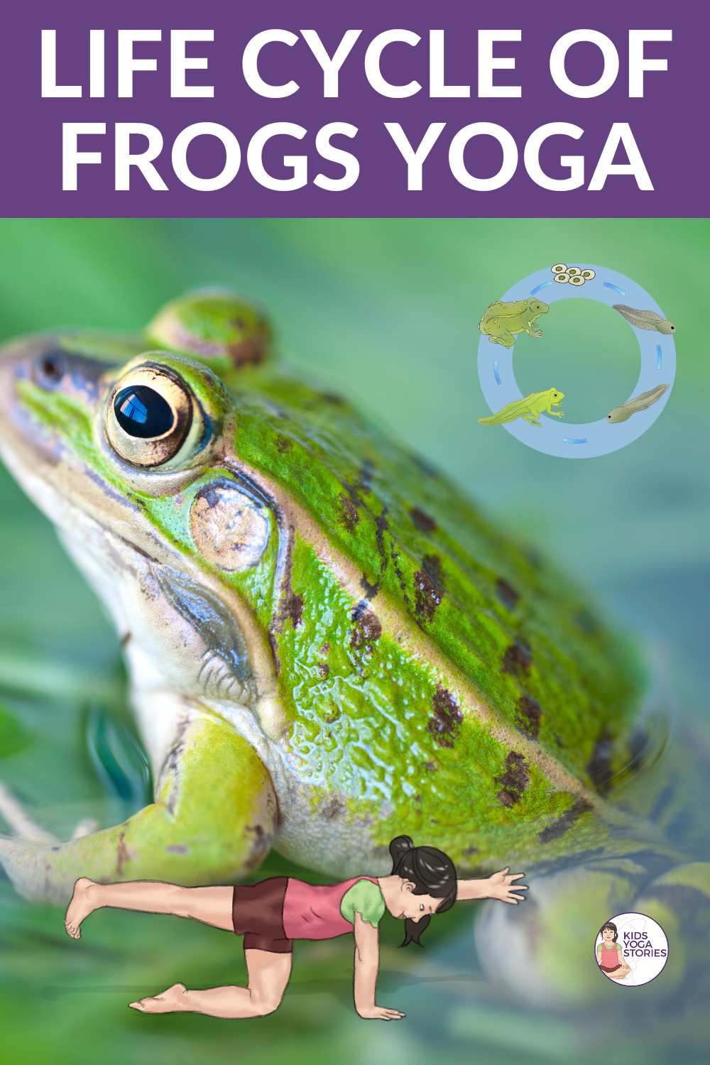 Life Cycle of Frogs Yoga | Kids Yoga Stories